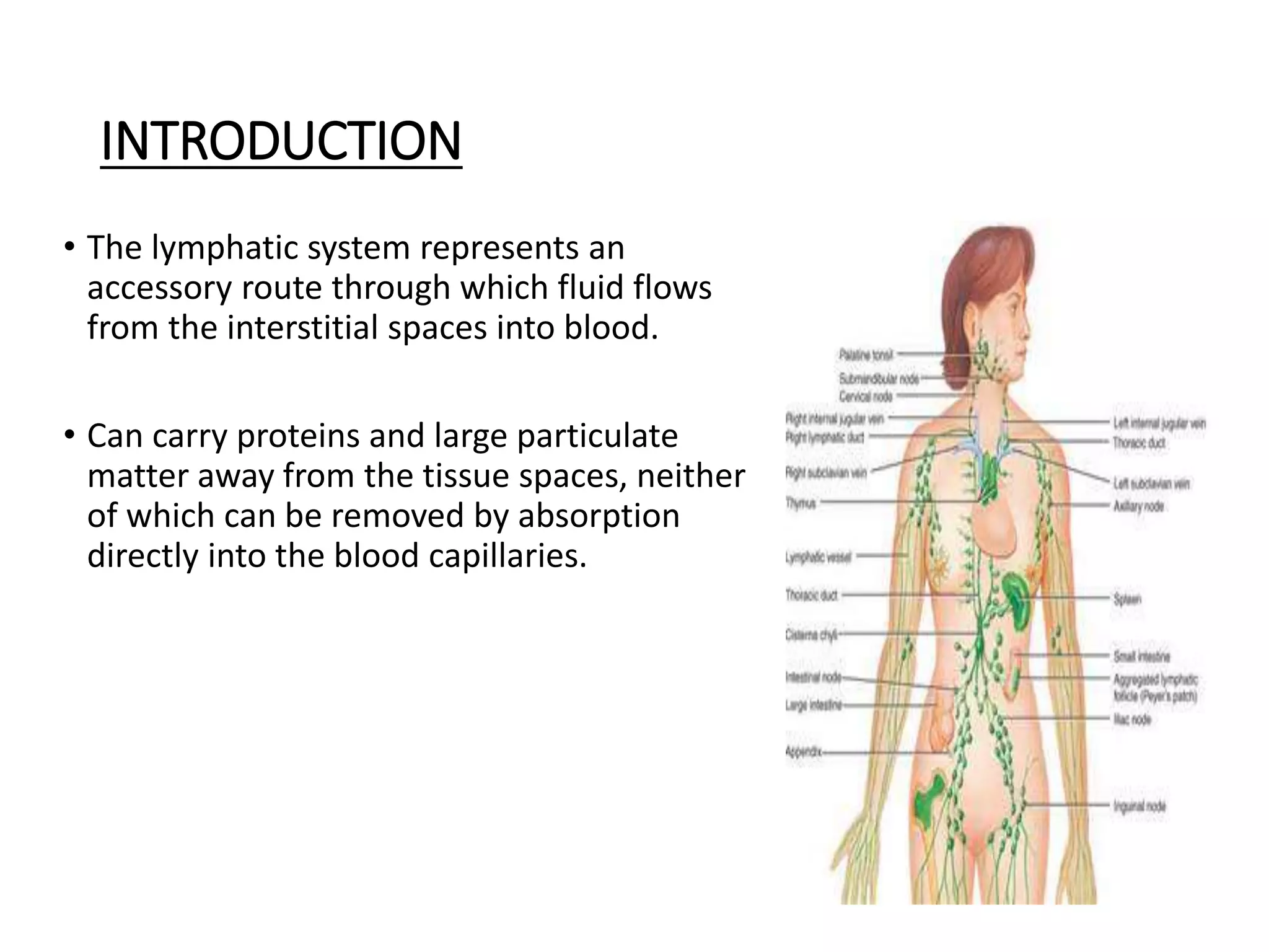 Surgical Anatomy of Lymph nodes | PPTX