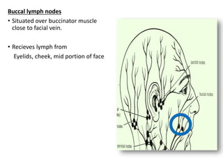 Surgical Anatomy of Lymph nodes | PPTX
