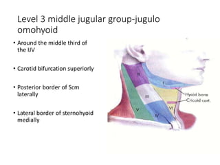 Surgical Anatomy of Lymph nodes | PPTX