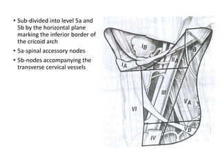 Surgical Anatomy of Lymph nodes | PPTX