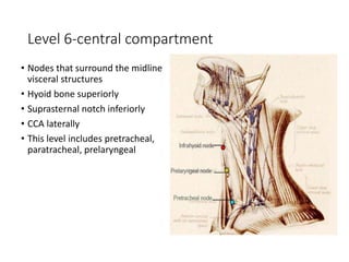 Surgical Anatomy of Lymph nodes | PPTX