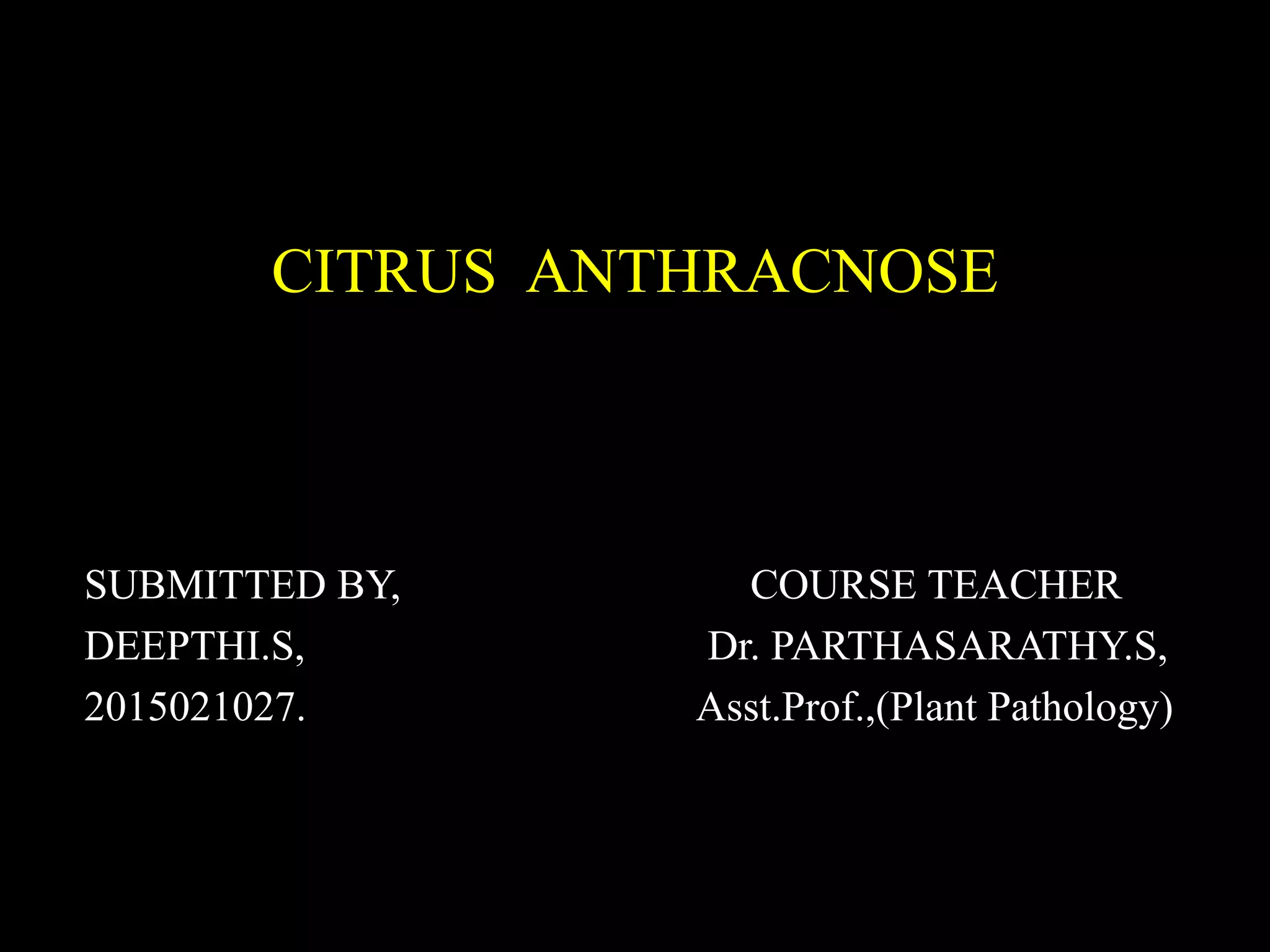 CITRUS ANTHRACNOSE | PPTX