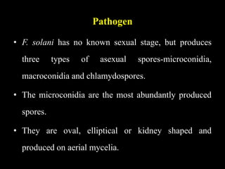 S.mythili 2015021085-fusarium wilt of brinjal | PPTX