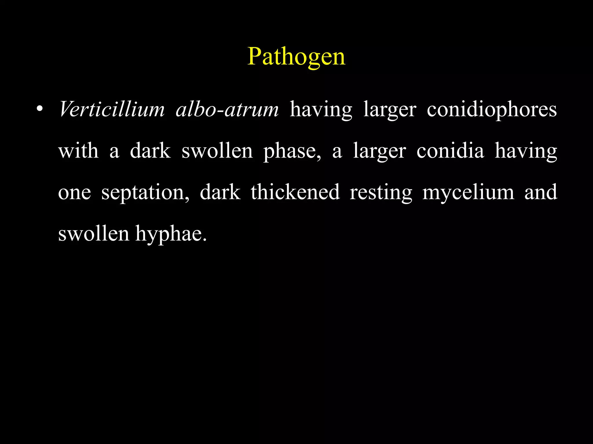 S.mythili 2015021085-verticillium wilt of brinjal | PPT