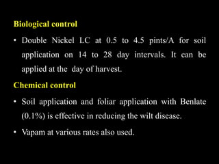 S.mythili 2015021085-verticillium wilt of brinjal | PPT
