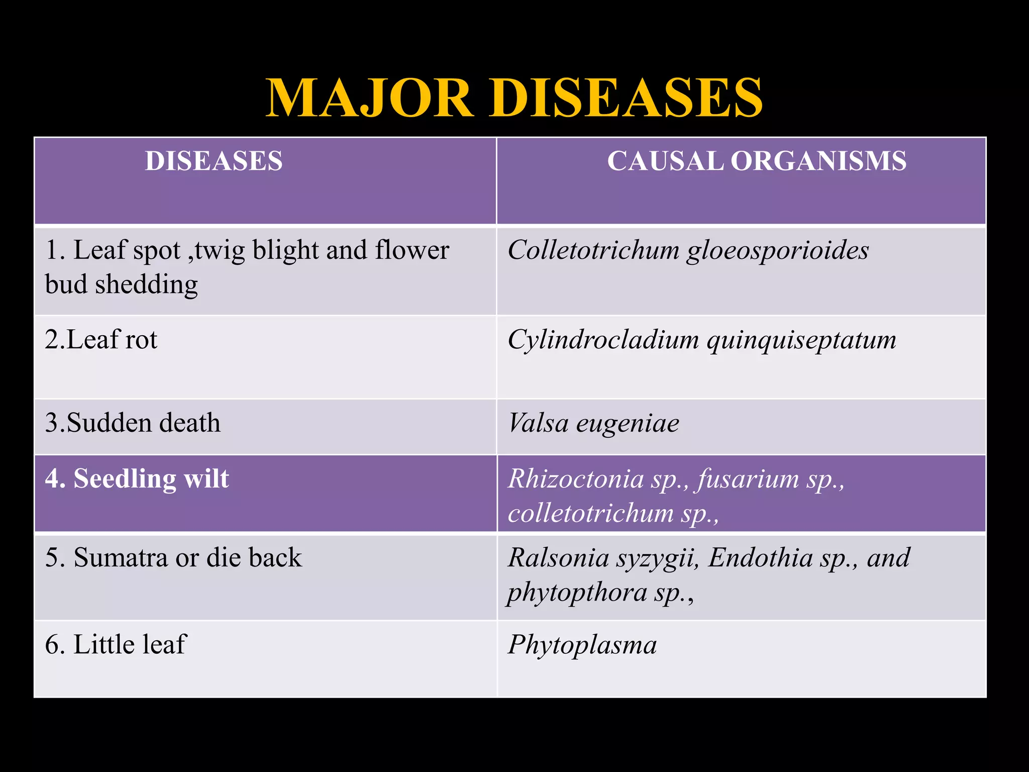 Diseases of clove | PPTX