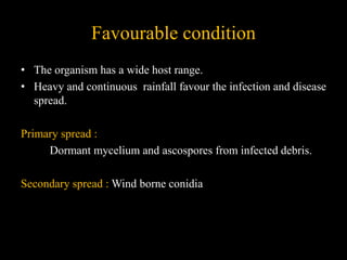 Diseases of clove | PPTX
