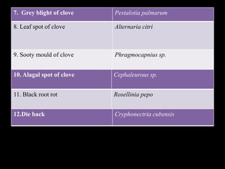 Diseases of clove | PPTX