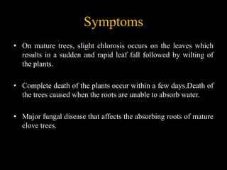 Diseases of clove | PPTX