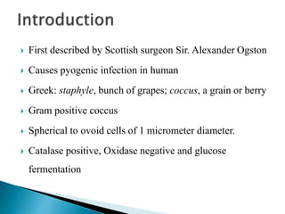 Staphylococcus aureus | PPTX