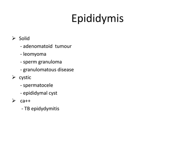 imaging of scrotal diseases | PPTX | Infertility | Reproductive Health