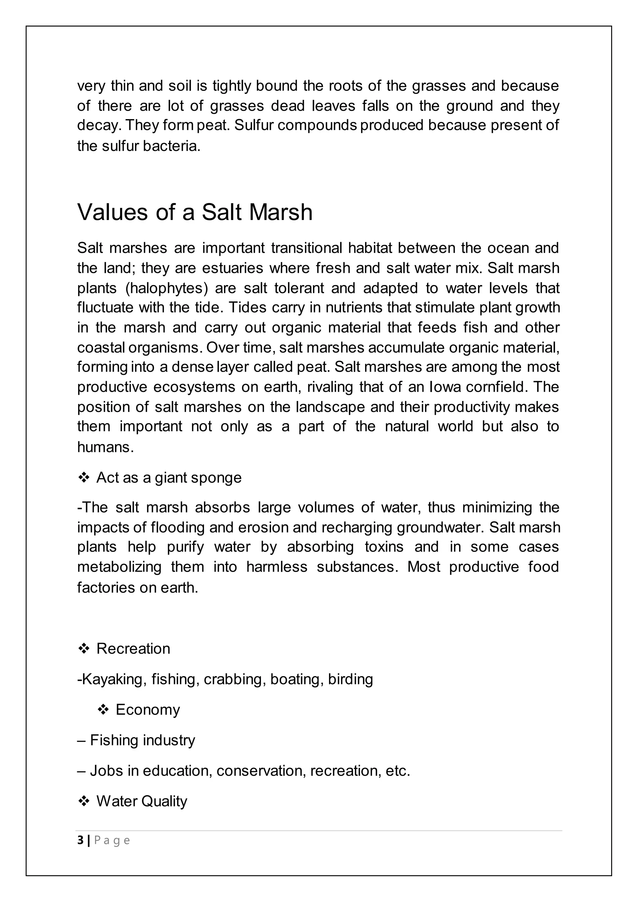 salt marshes | DOCX