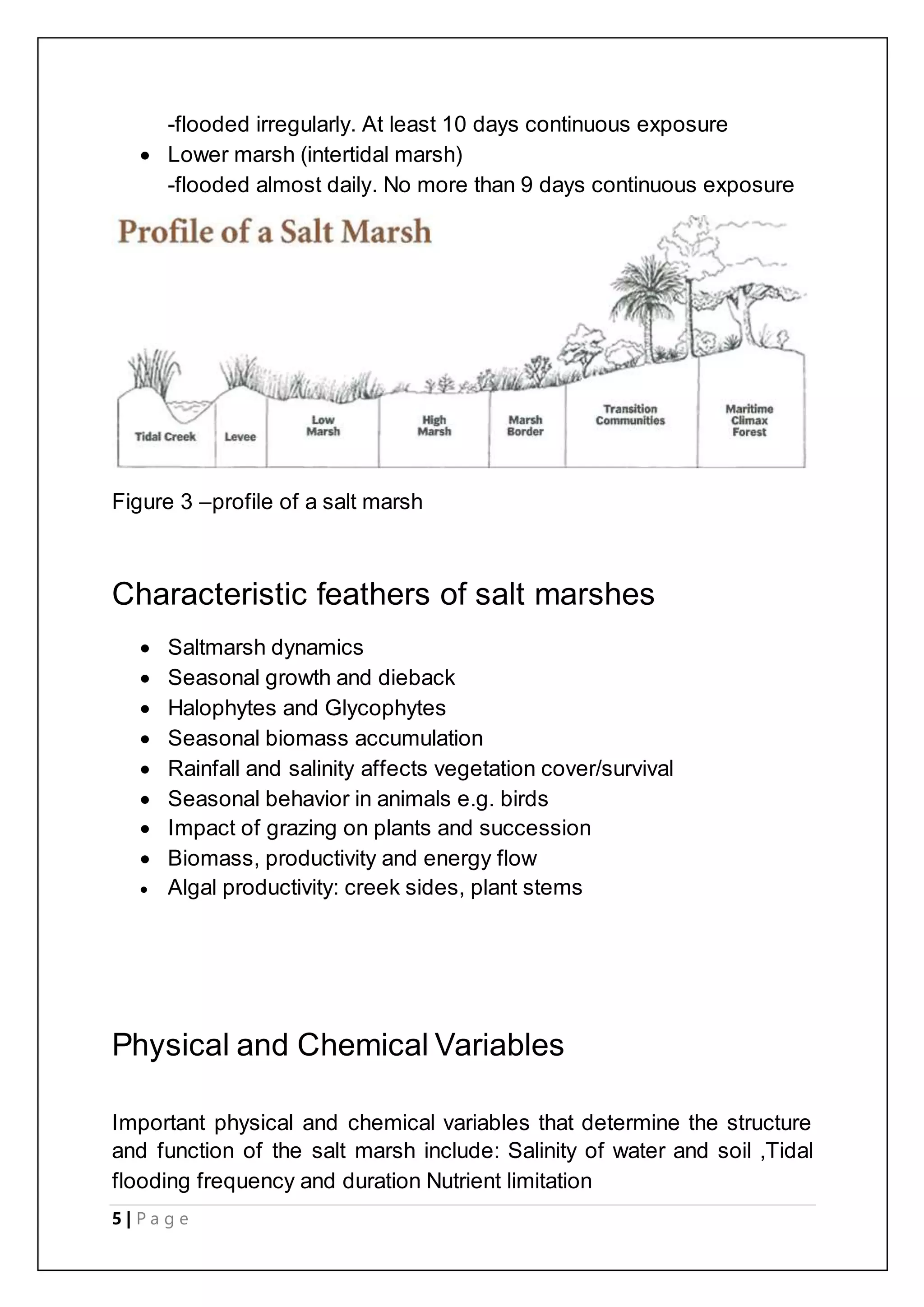 salt marshes | DOCX