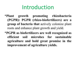 Presentation on the PGPR- Sukh Ram | PPT
