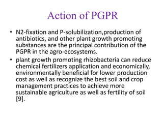 Presentation on the PGPR- Sukh Ram | PPT