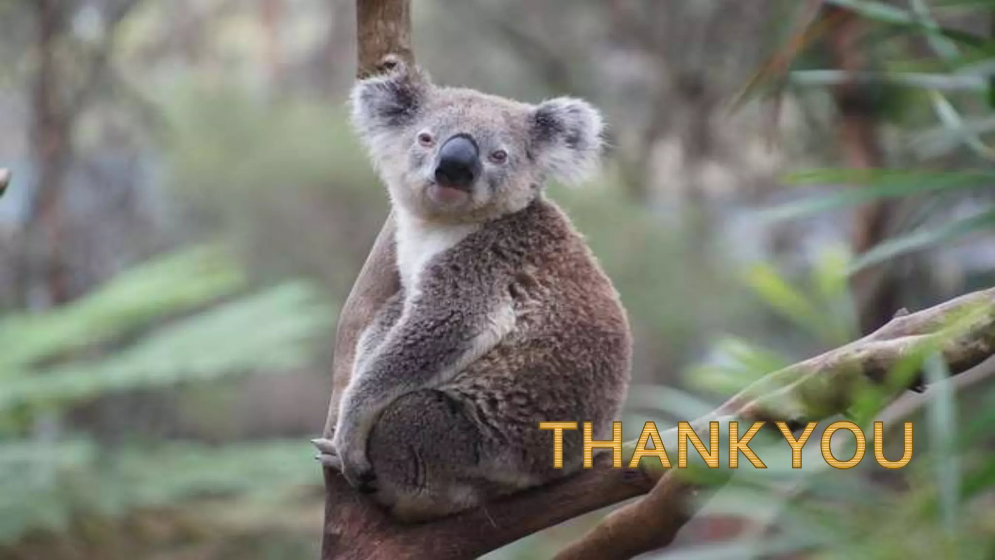 ENVIROMENT wildlife protection act (1972) education | PPTX