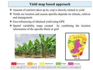 precise nutrient management of banana | PPTX