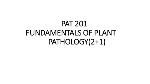 Disease cycle of wheat loose smut (PAT 201 Fundamentals of plant ...