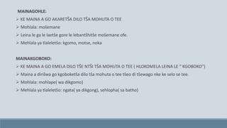 S.M GWALA Leano a thuto presentation | PPT