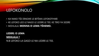 S.M Gwala mehuta ya mafoko micro-presentation | PPTX