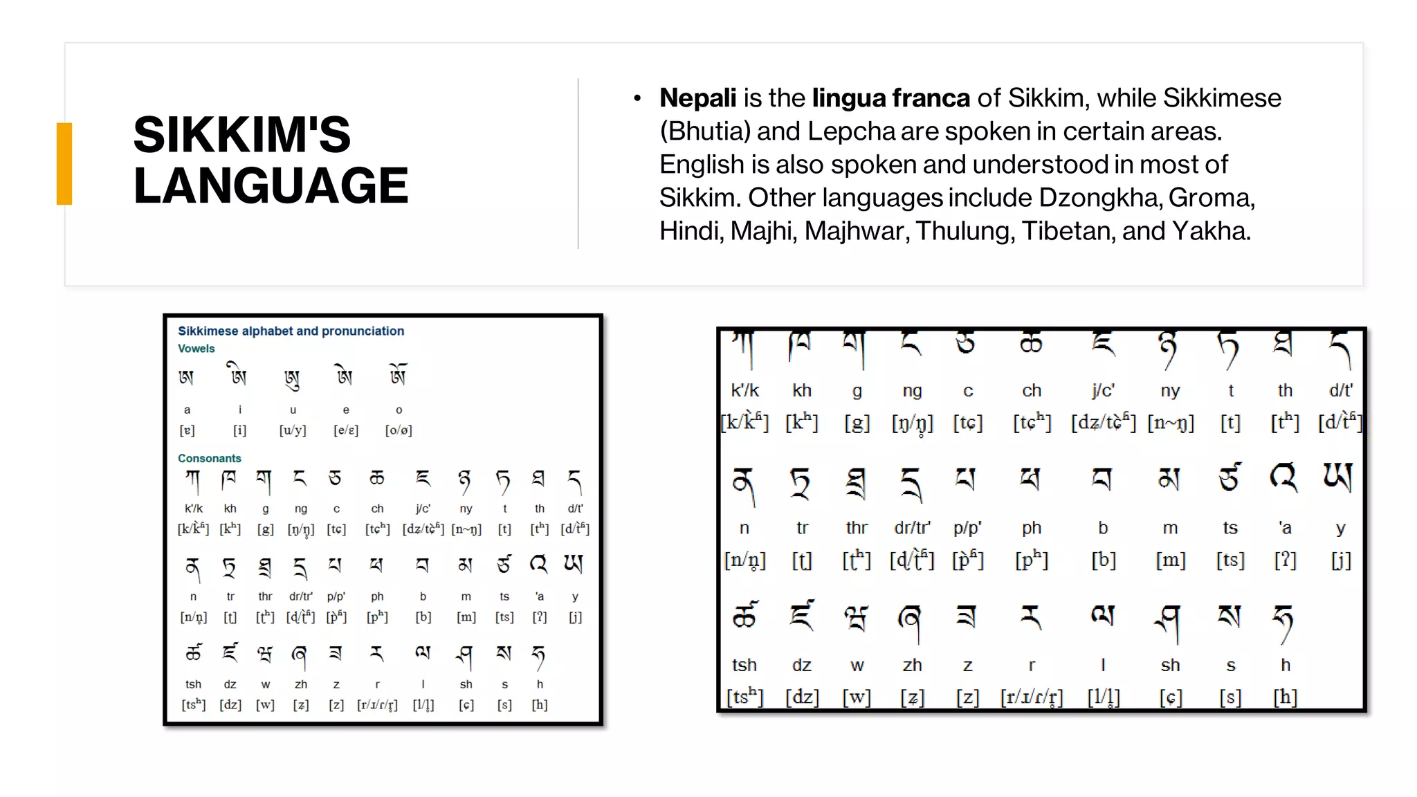 S.s.t project (class 9) | PDF