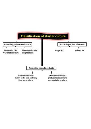 starter culture lecture 2022 | PDF