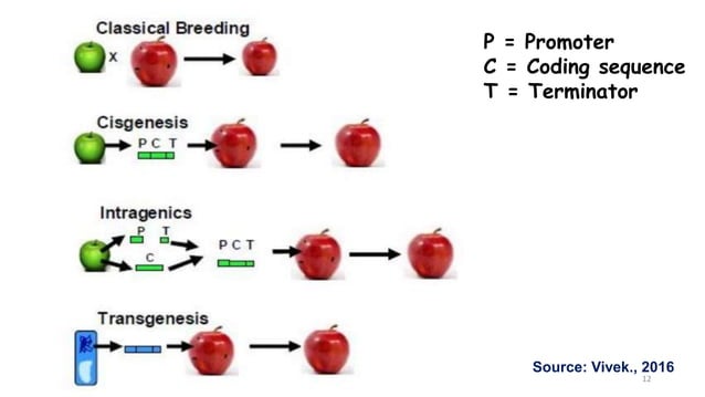 Cisgenesis and Intragenesis | PPTX