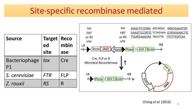 Cisgenesis and Intragenesis | PPTX