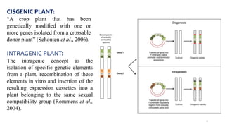 Cisgenesis and Intragenesis | PPTX