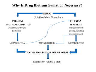 Biotrasformation by S.Pathak.pptx