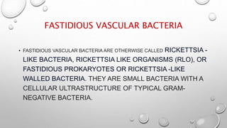 S.ABINAYA 2021031006.pptx