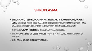 S.ABINAYA 2021031006.pptx