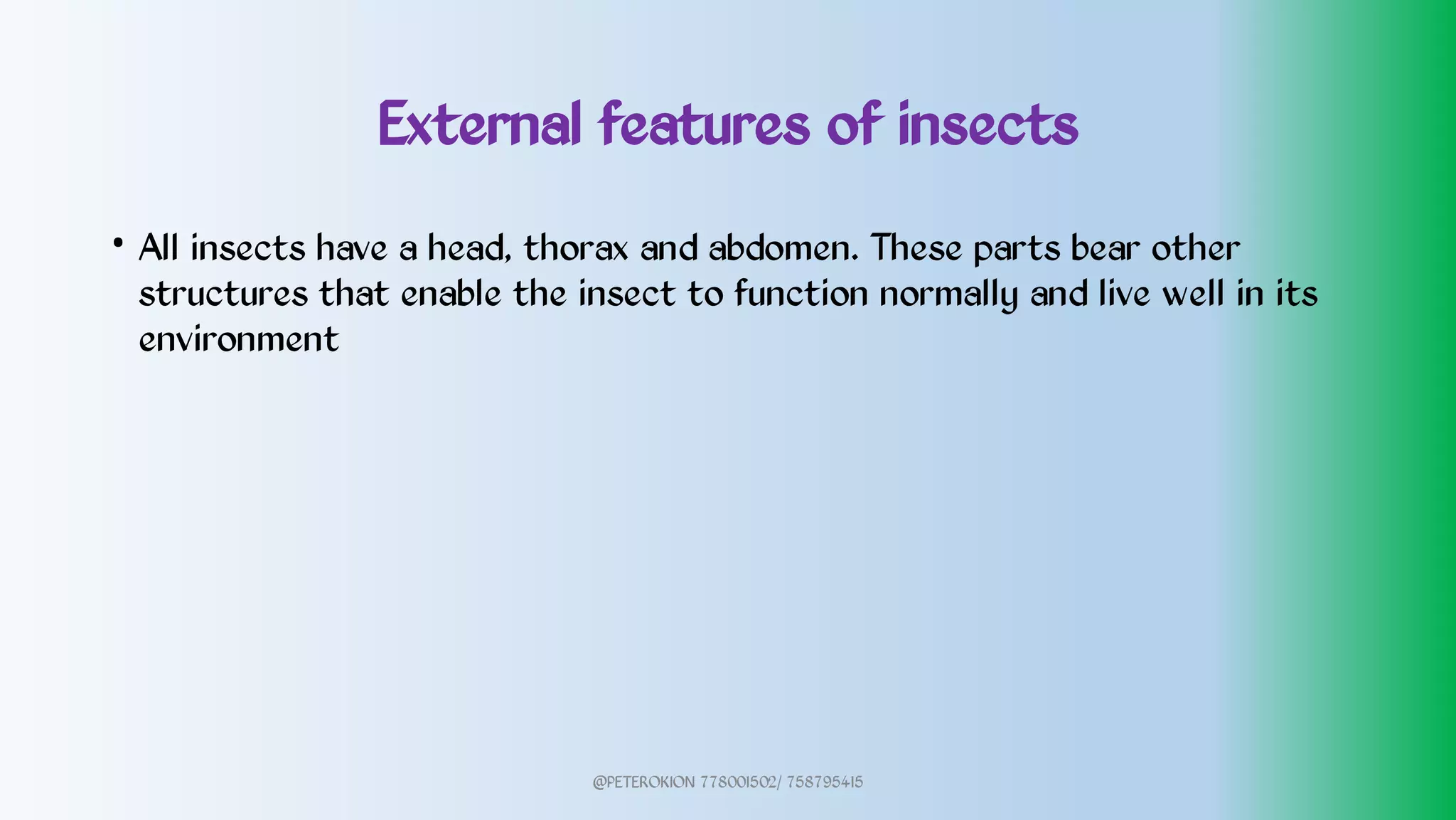 S.1 Insect slides by Bagalana.pdf