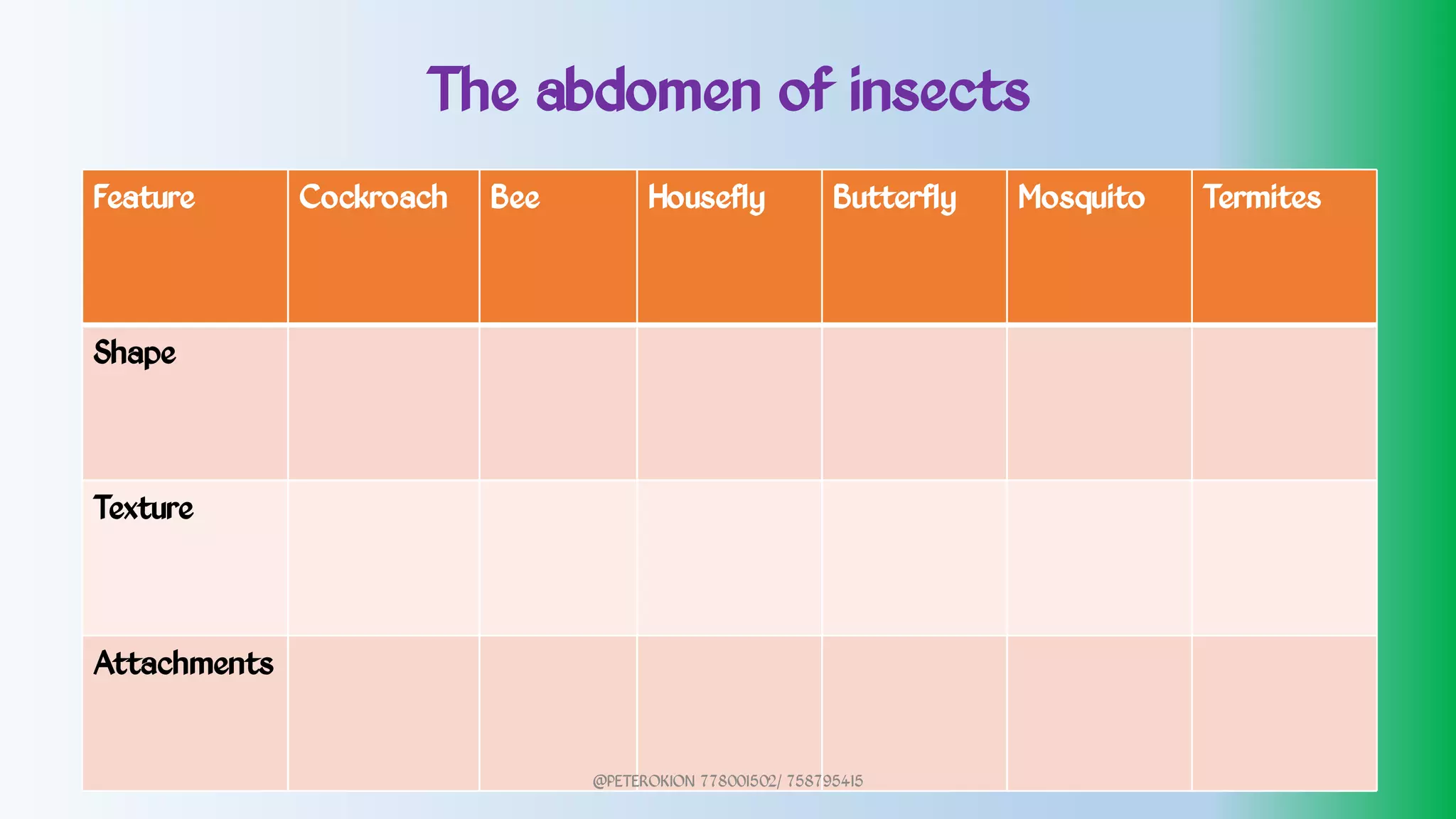 S.1 Insect slides by Bagalana.pdf