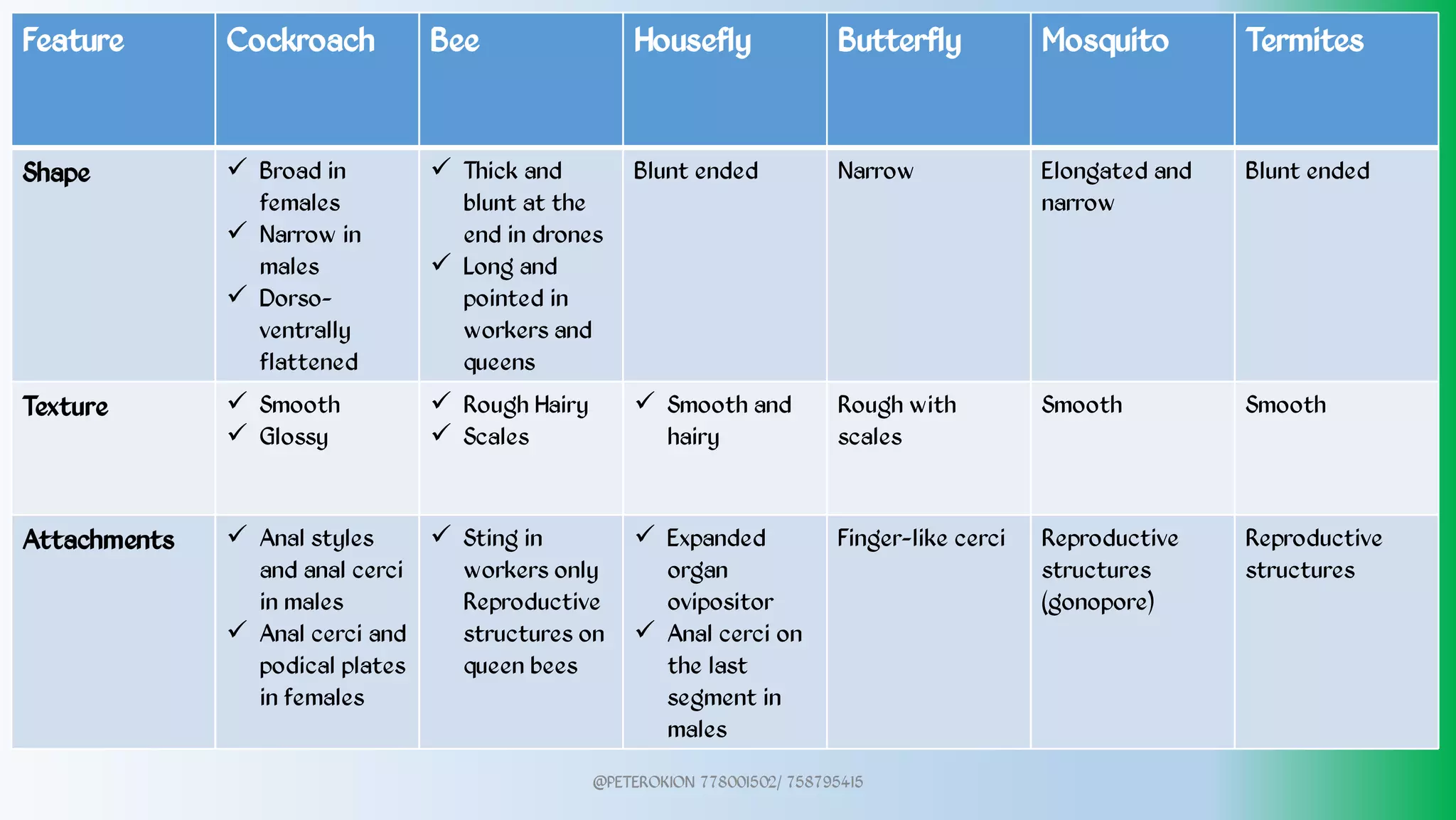 S.1 Insect slides by Bagalana.pdf