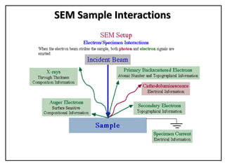 scanning electron microscope for analysis | PPT