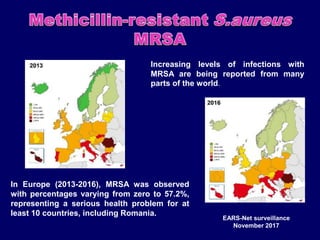 Antibiotic-resistance profile Staphylococcus aureus.pptx | Infectious ...