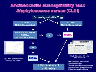 Antibiotic-resistance profile Staphylococcus aureus.pptx | Infectious ...