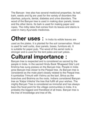 Knowlm about the Banyan tree taxonomy uses importance etc | DOCX