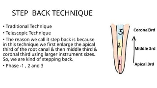 Step back and crown down technique in root canal treatment | PPTX