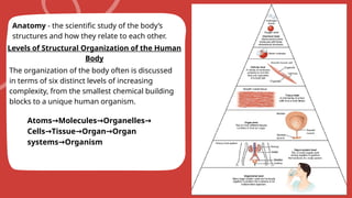 anatomy and physiology for caregiving.pptx