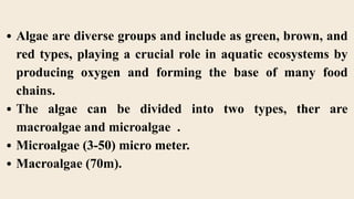 DISTRIBUTION OF ALGAE ( Fresh water, Marine Water and Brackish Water ...