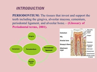 The periodontal ligament (PDL) is a specialized, highly cellular and ...