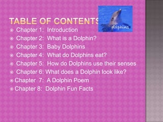 Dolphins | PPTX