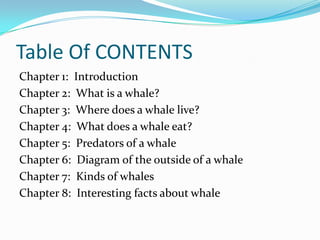 Whales | PPTX