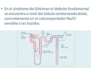 Síndrome de gitelman | PPTX