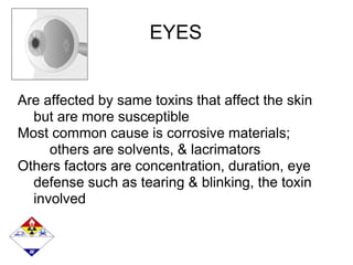 HAZMAT TECHNICIAN HEALTH & SAFETY NFPA COMPLIANT | PPT