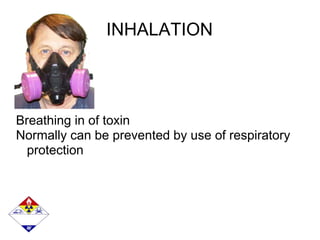 HAZMAT TECHNICIAN HEALTH & SAFETY NFPA COMPLIANT | PPT