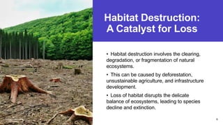 Impacts of Human Activities on Biodiversity Loss..pptx