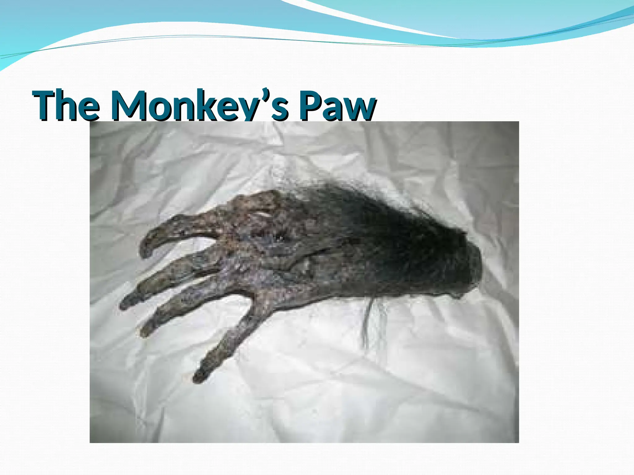 s-paw-presentation.for.esl.educationppt.ppt